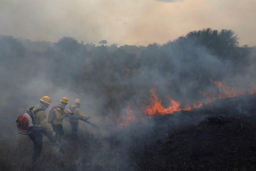 Se registran los grandes incendios en la selva amazónica en Brasil: es ...